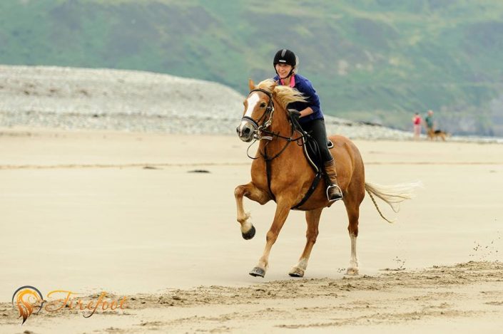 Connor - Cannock Chase Trekking Centre