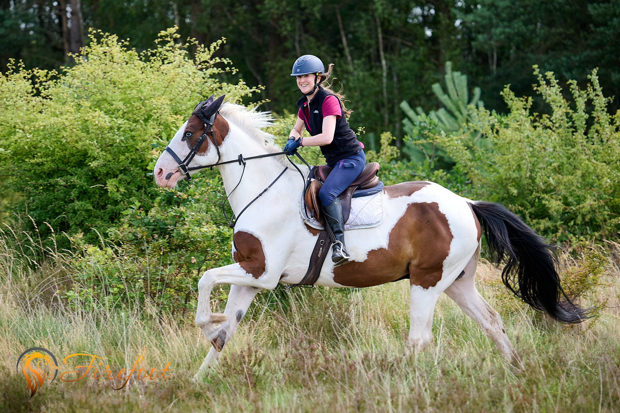 Colorado - Cannock Chase Trekking Centre