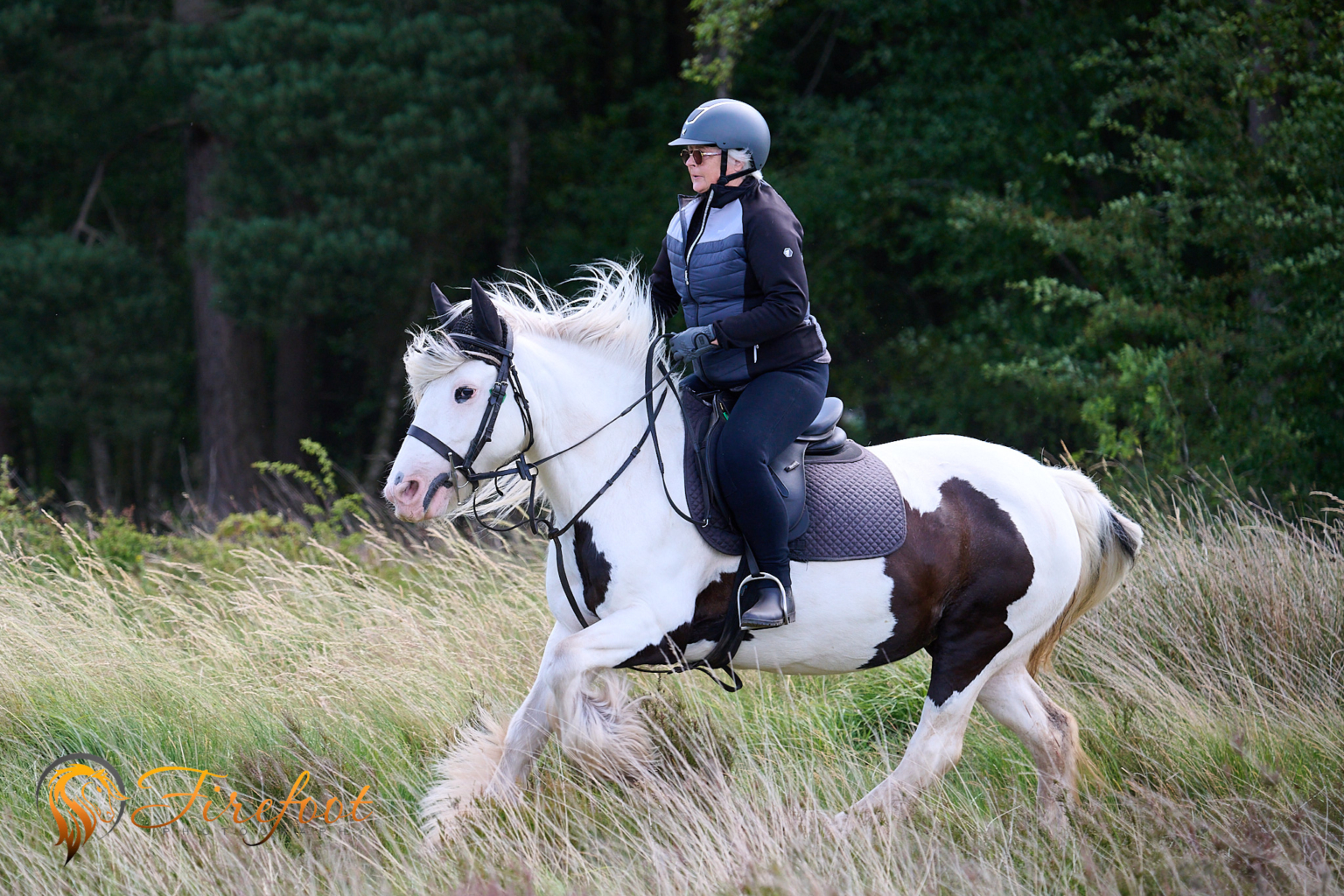 Parris - Cannock Chase Trekking Centre