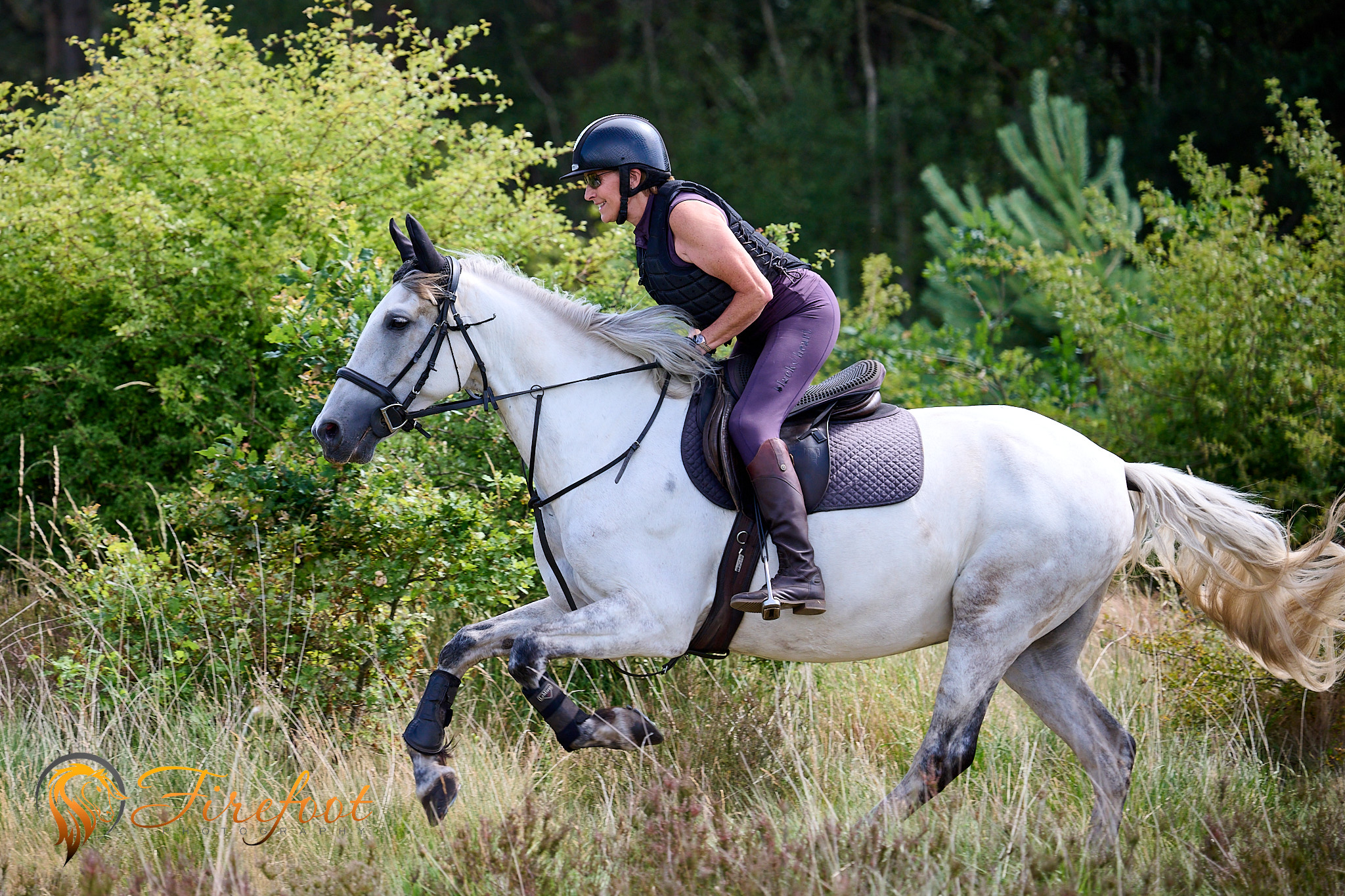 Balari - Cannock Chase Trekking Centre