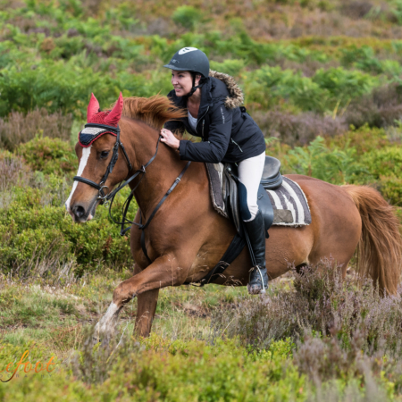 Chase – Cannock Chase Trekking Centre