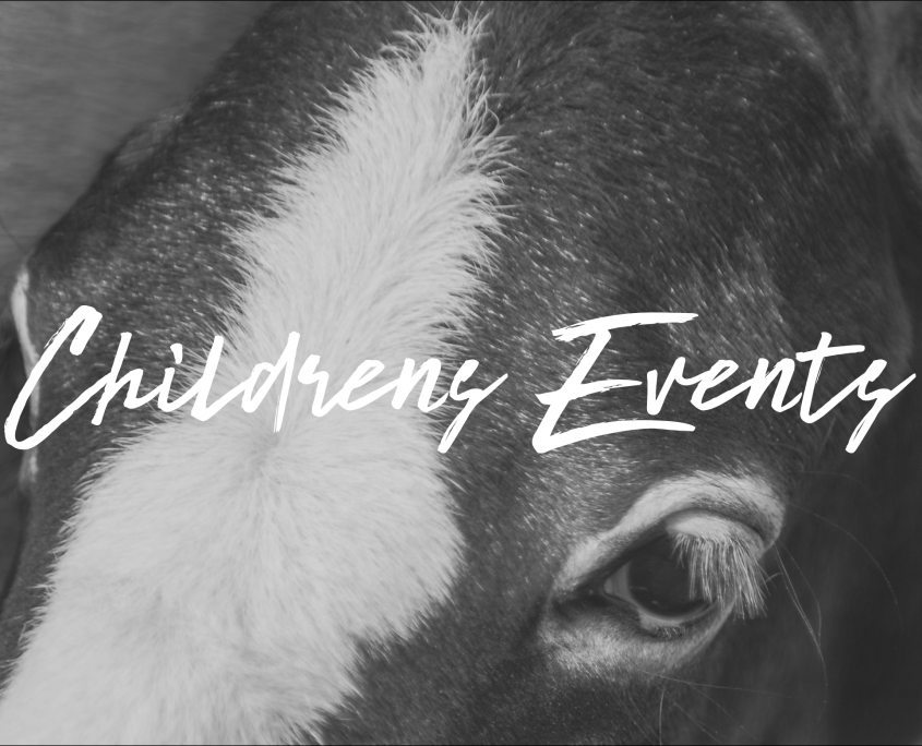 Cannock Chase Horse & Pony Trekking - Cannock Chase Trekking Centre