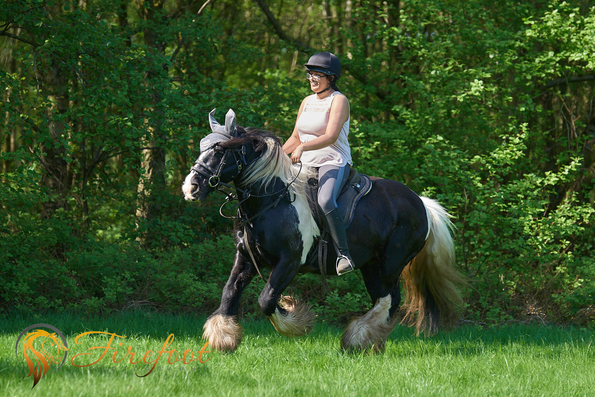 Toby - Irish Coloured Cob - Cannock Chase Trekking Centre