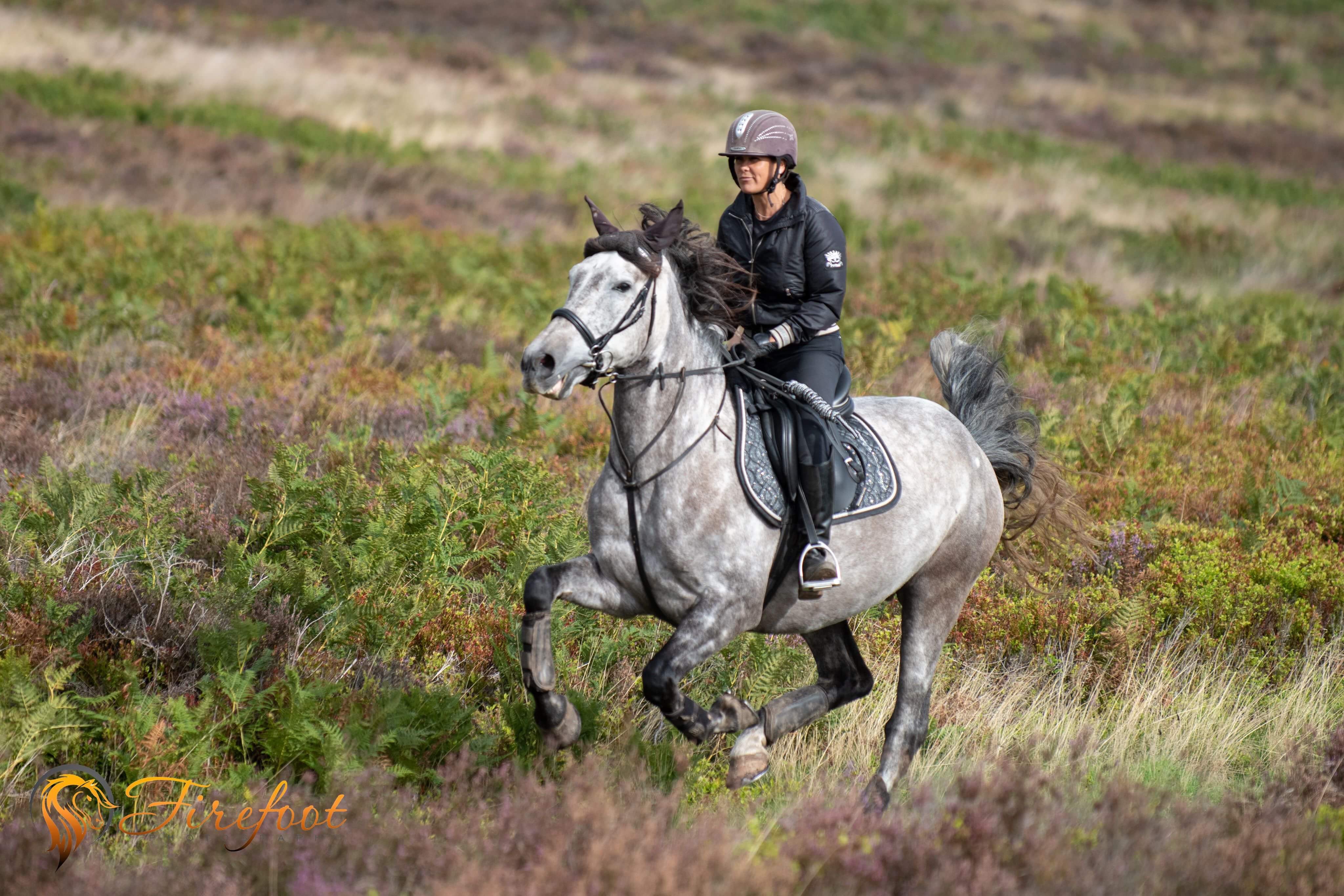 Rose Grey Thoroughbred